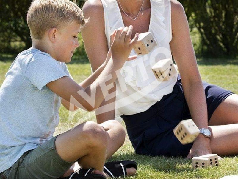 Activity game Giant Yatzy 10.00 € | Averto