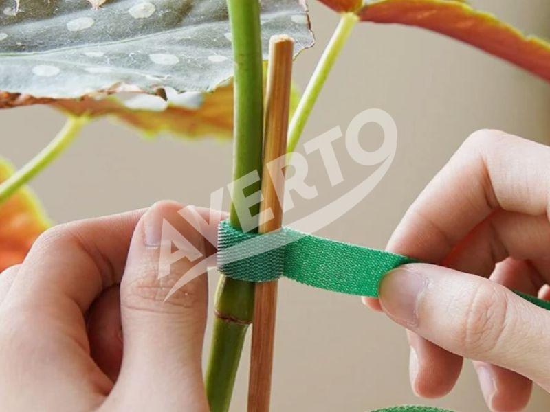 Self-Adhesive Plant Tape – Secure and Easy Tying
